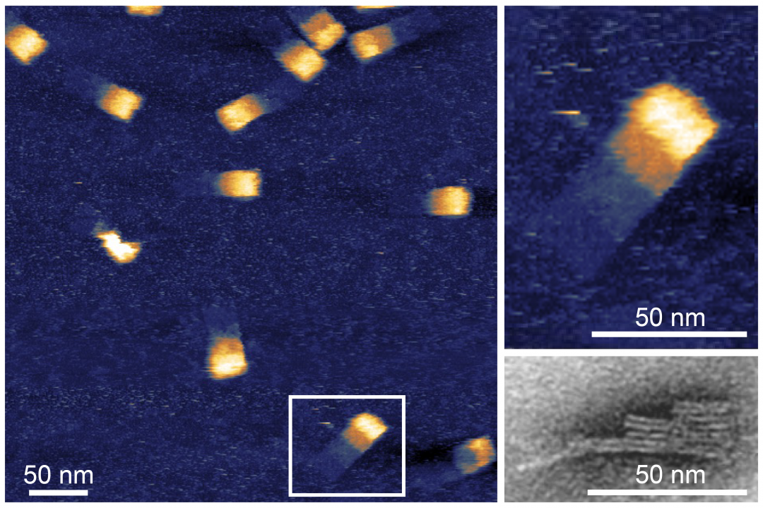 GATTAquant DNA Nanotechnologies - GATTA-AFM 3D