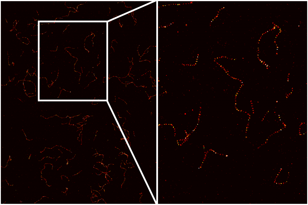 GATTAquant DNA Nanotechnologies - GATTA-PAINT Worms